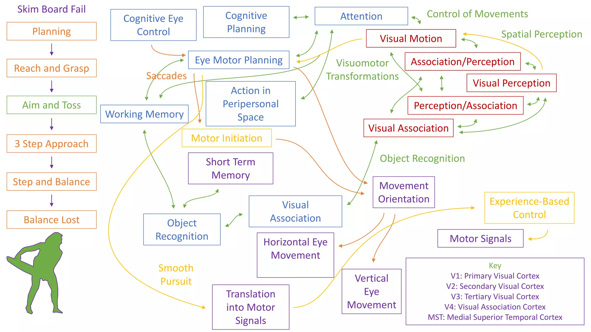 Schema- Neural Basis of Human Movement | PPTX