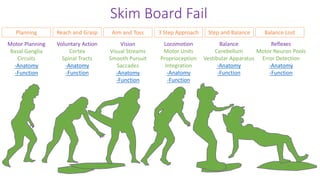 Schema- Neural Basis of Human Movement | PPTX