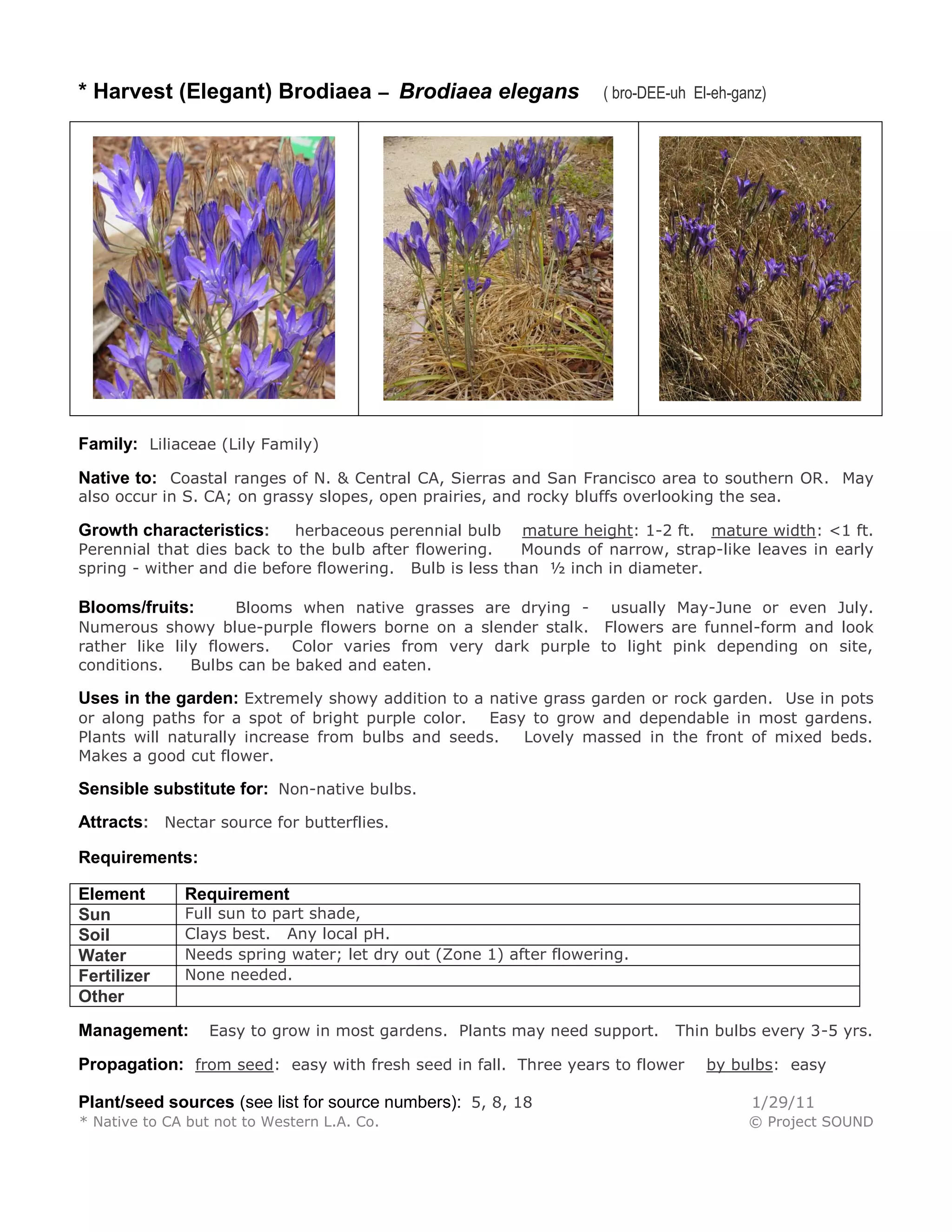 Brodiaea elegans | PDF