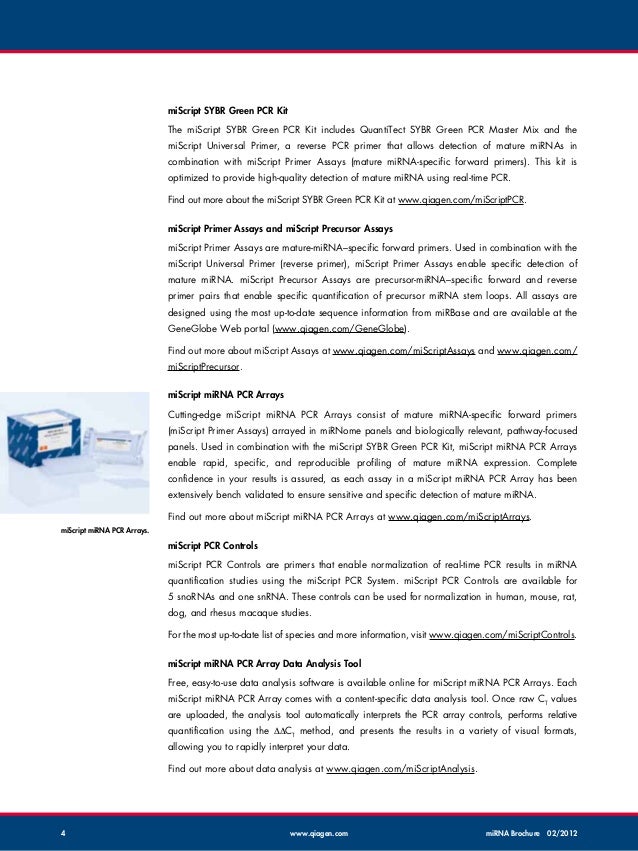 Bro gef mi_rna_0212_lr