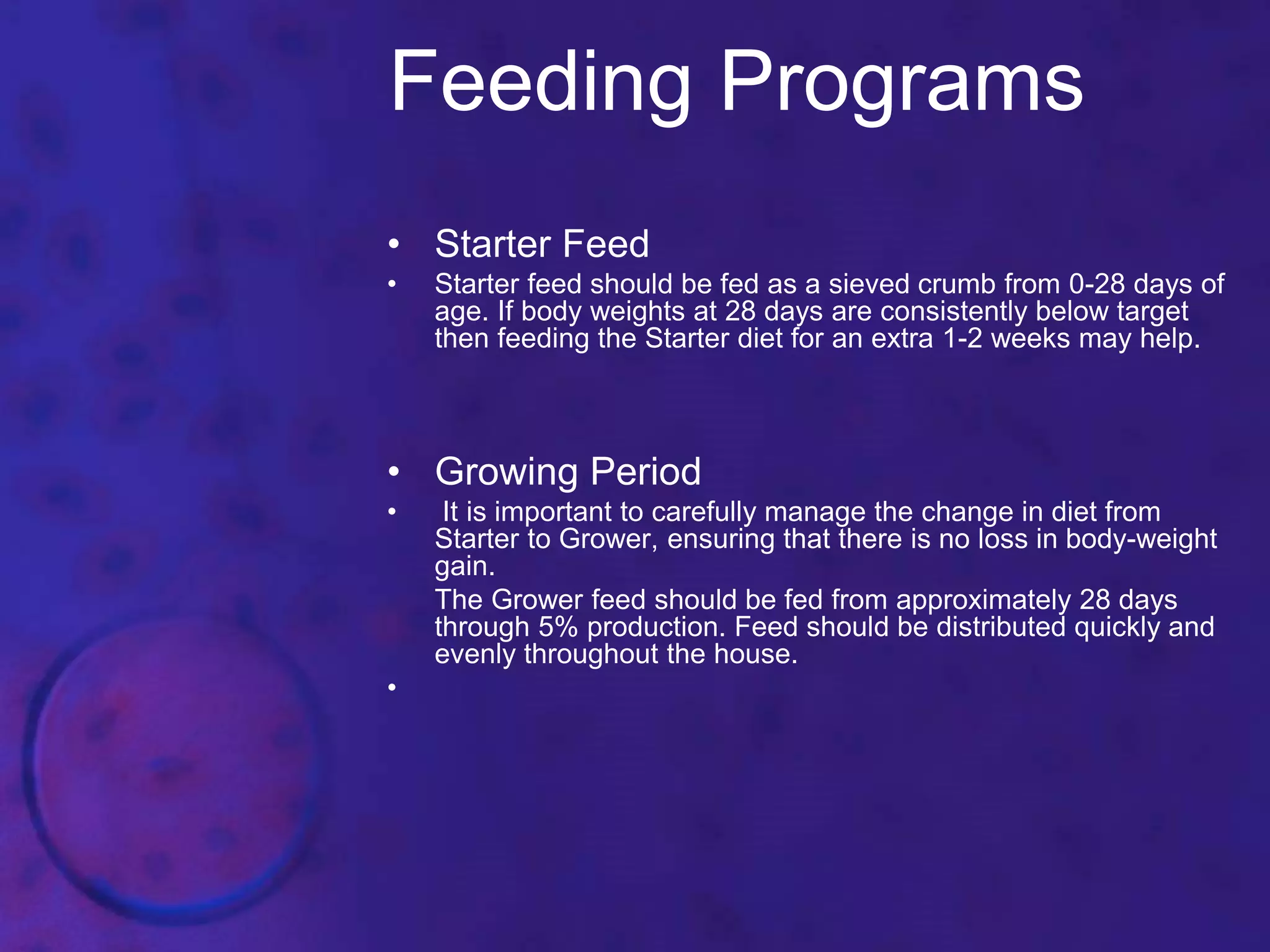 Broiler breeder management | PPTX