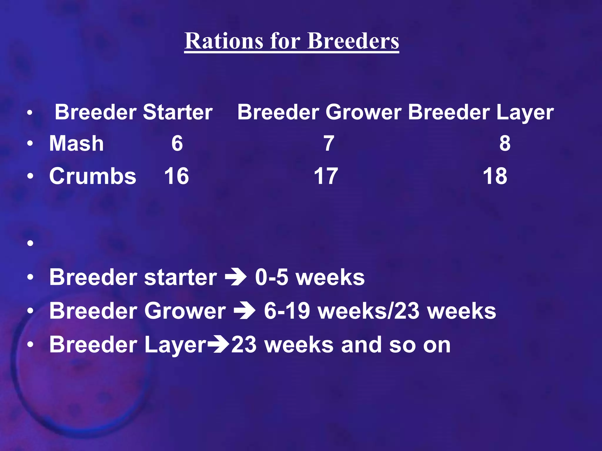 Broiler breeder management | PPTX