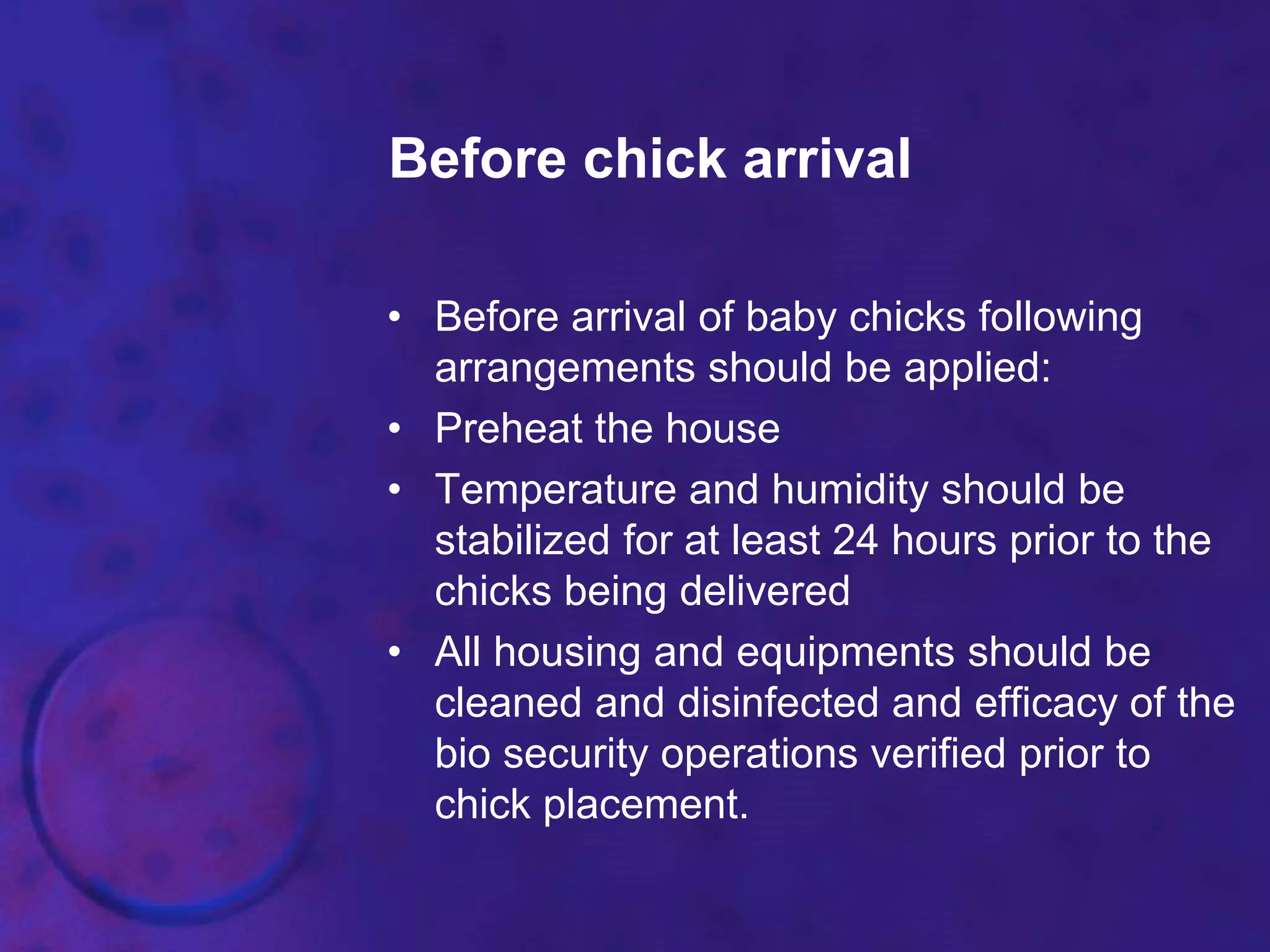 Broiler breeder management | PPTX