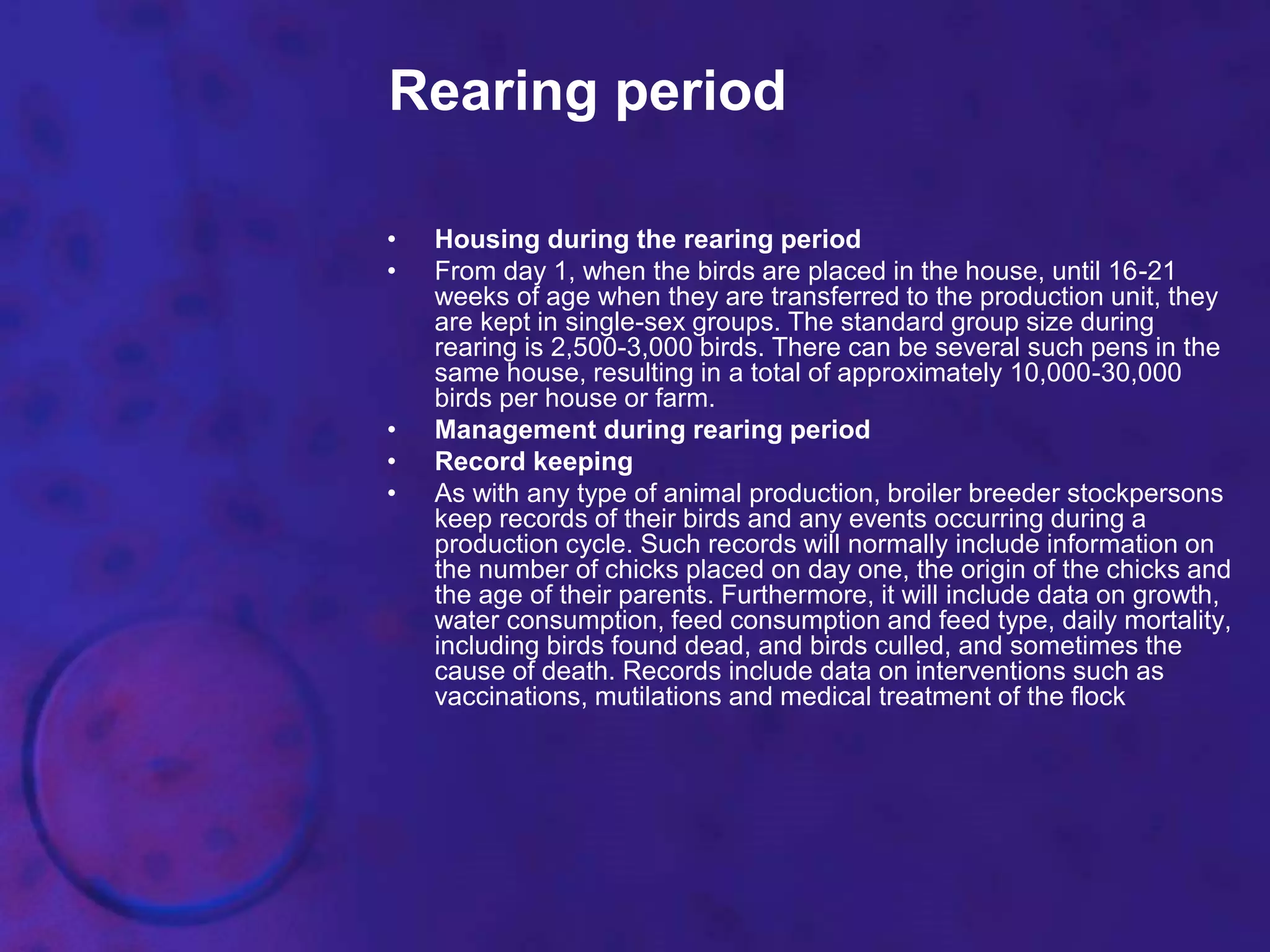 Broiler breeder management | PPTX