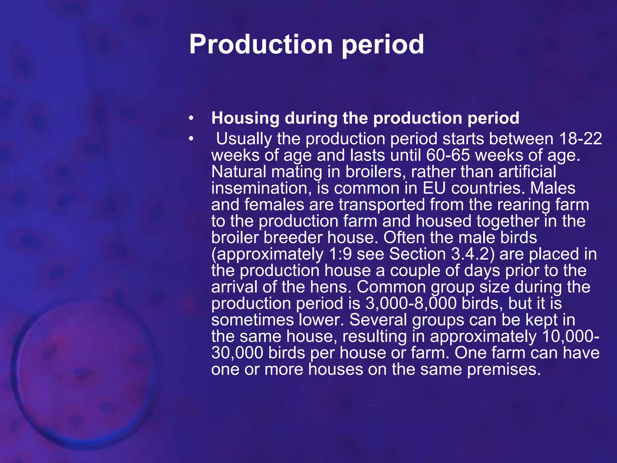 Broiler breeder management | PPTX