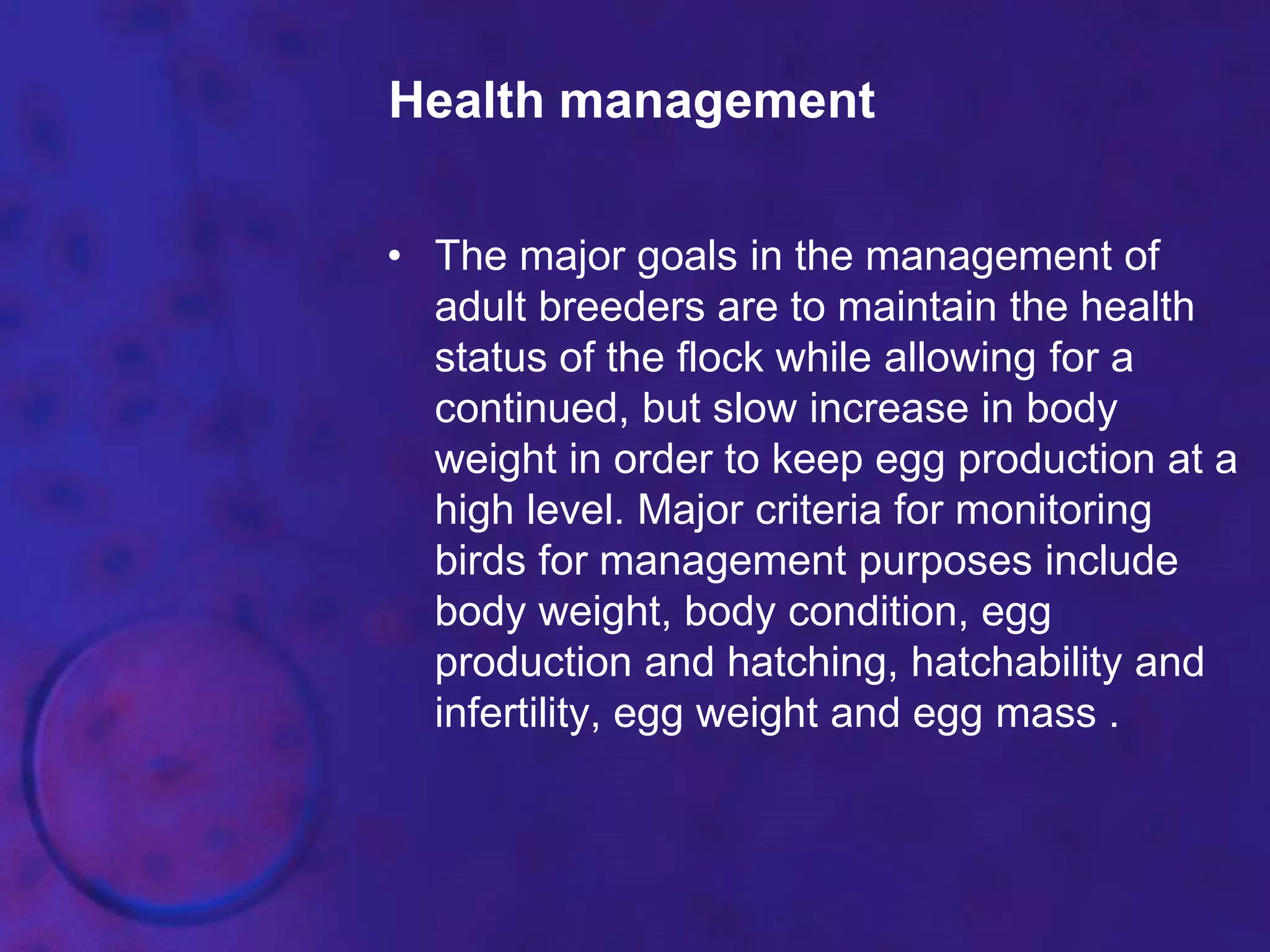 Broiler breeder management | PPTX
