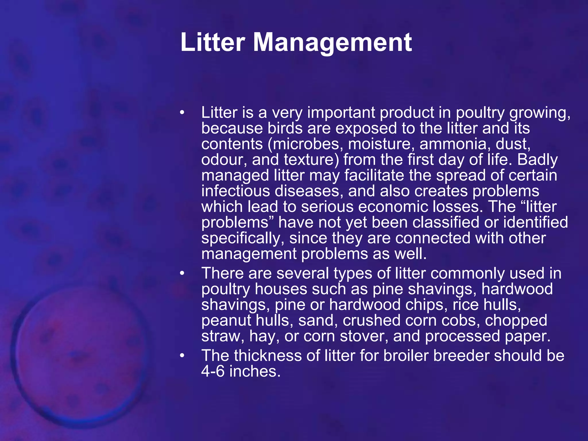 Broiler breeder management | PPTX