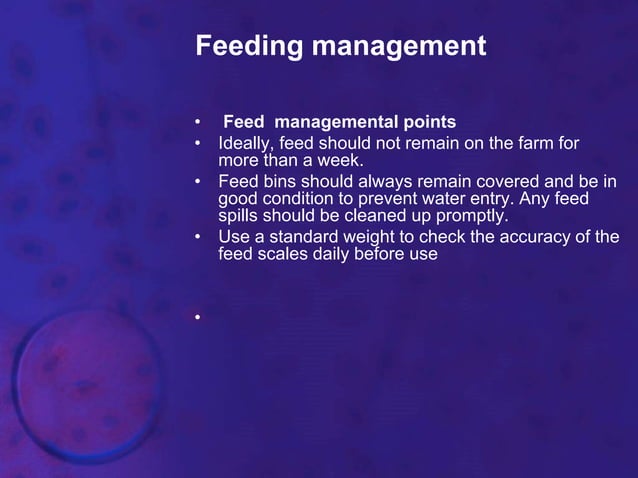 Broiler breeder management | PPTX