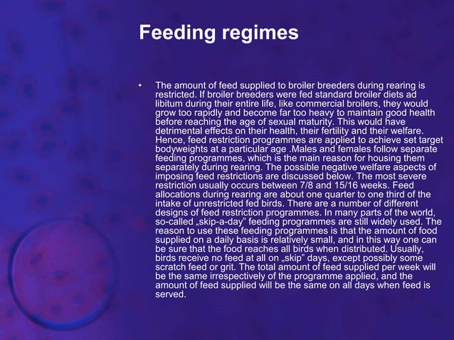 Broiler breeder management | PPTX