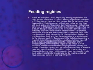 Broiler breeder management | PPTX