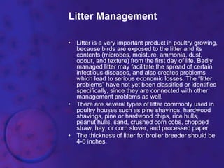 Broiler breeder management | PPTX