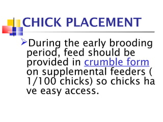 Broiler management-for-indo09-10-2006 | PPT
