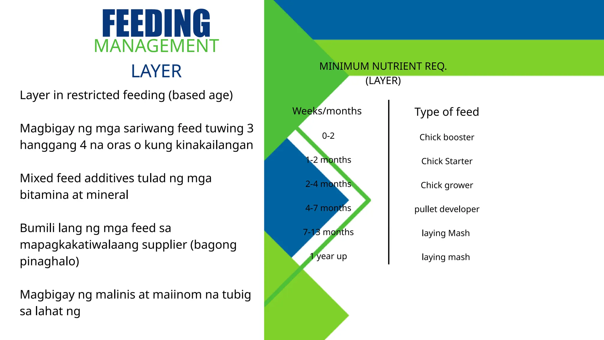 BROILER AND LAYER PRODUCTION - A tagalog presentation on broiler and ...
