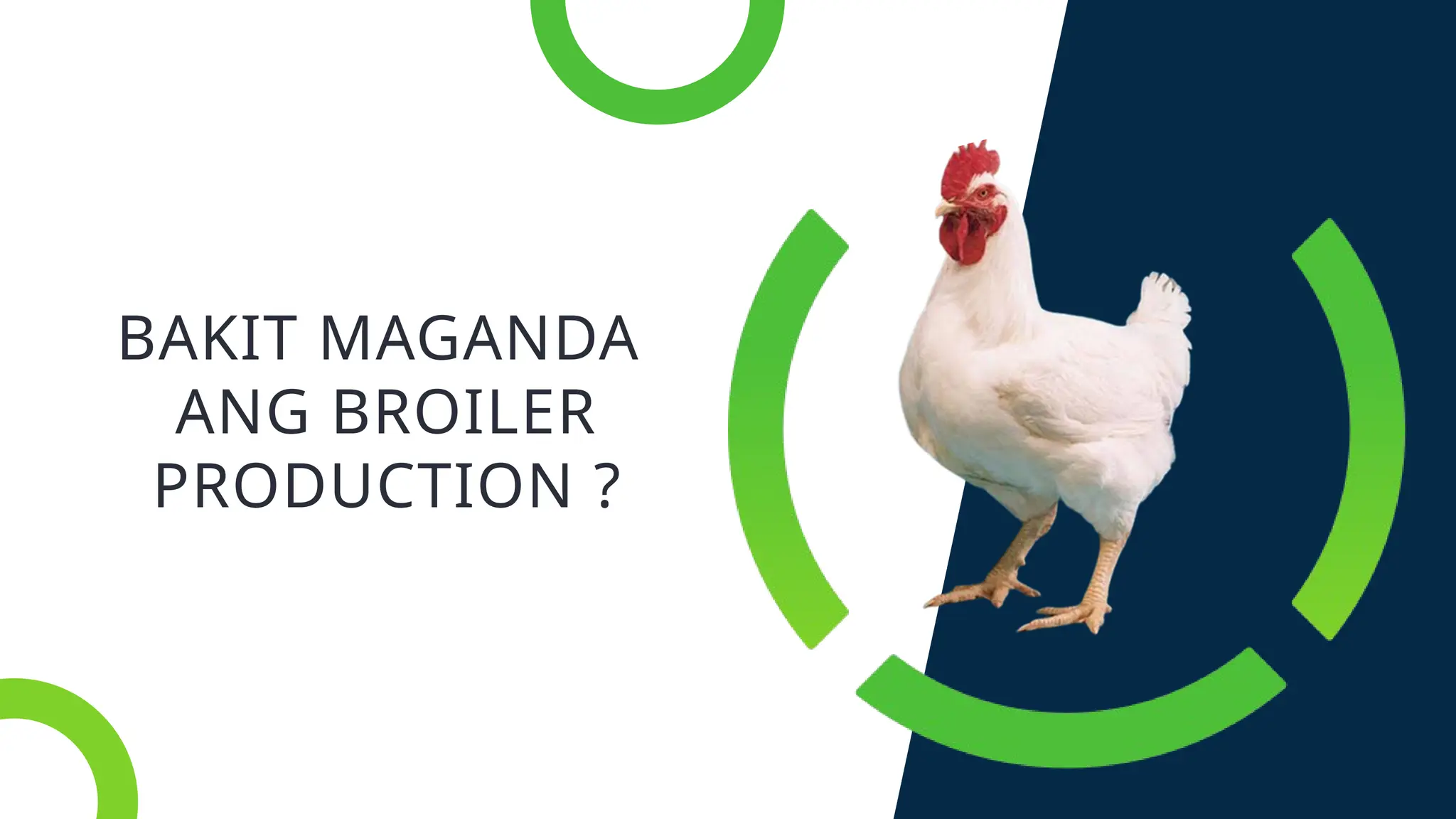 BROILER AND LAYER PRODUCTION - A tagalog presentation on broiler and ...