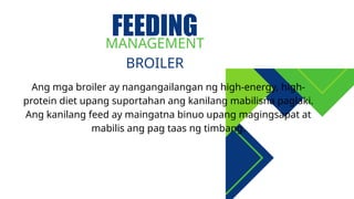 BROILER AND LAYER PRODUCTION - A tagalog presentation on broiler and ...