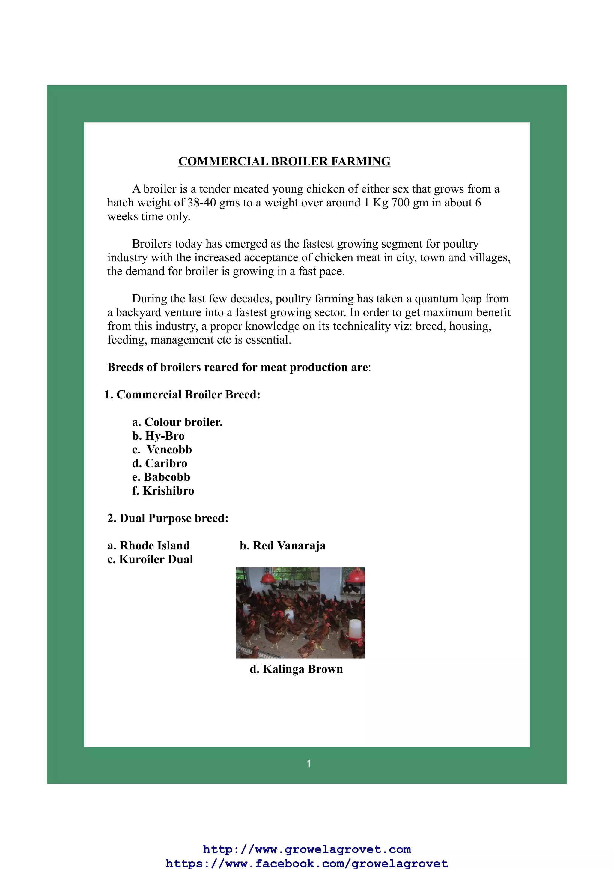 Broiler Farming Guide | PDF