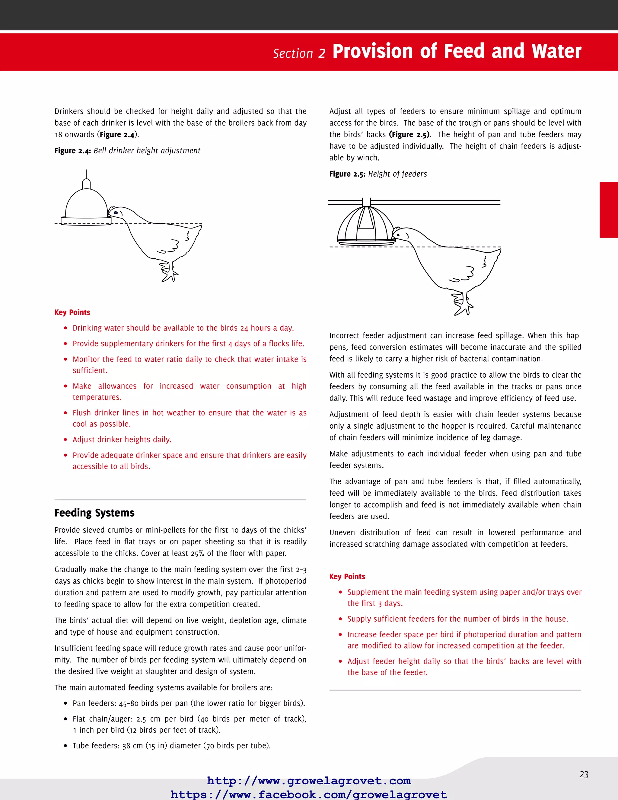 Broiler Farming Management Guide | PDF