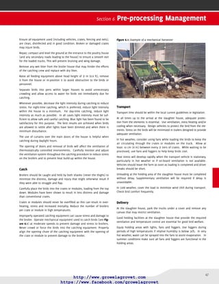 Broiler Farming Management Guide | PDF