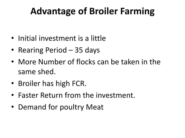 Broiler management | PPTX