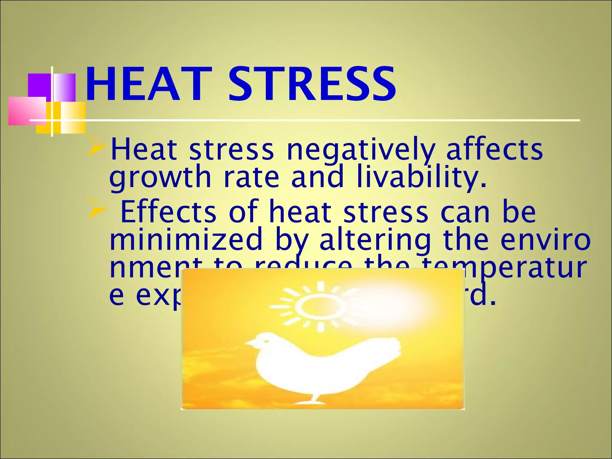 Broiler management by DR. Md. Ramzan Ali | PPT