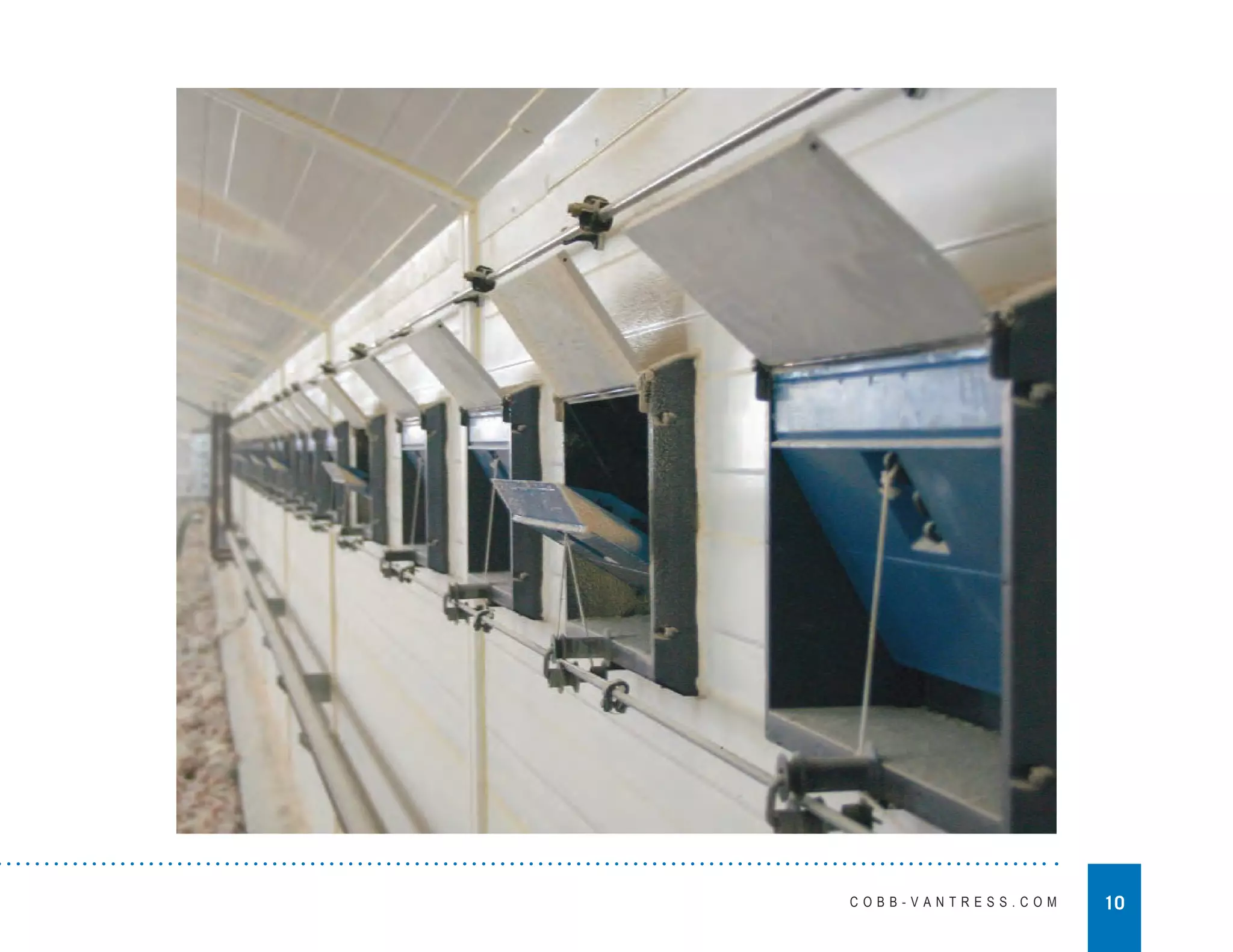 Broiler management guide.pdf