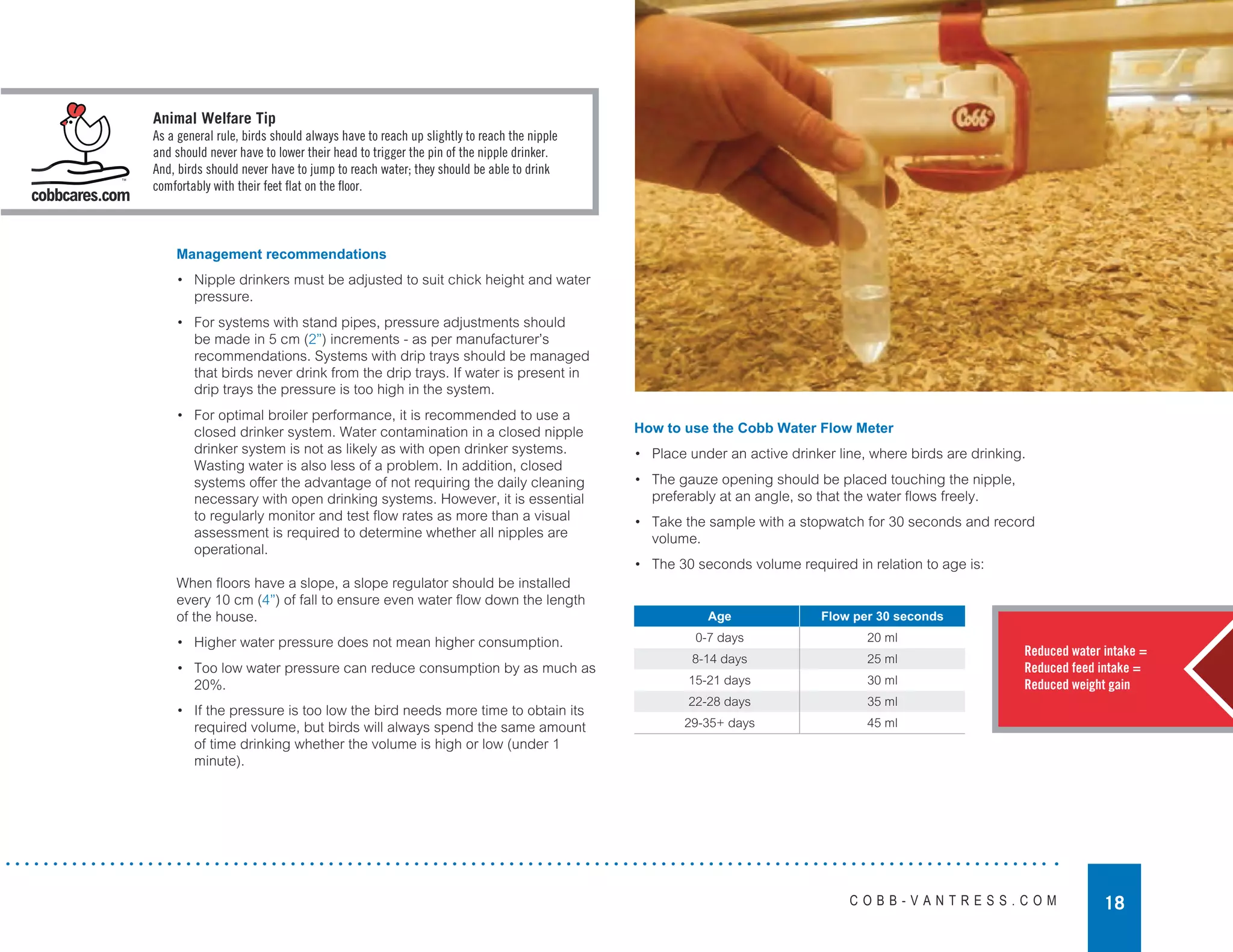 Broiler management guide.pdf