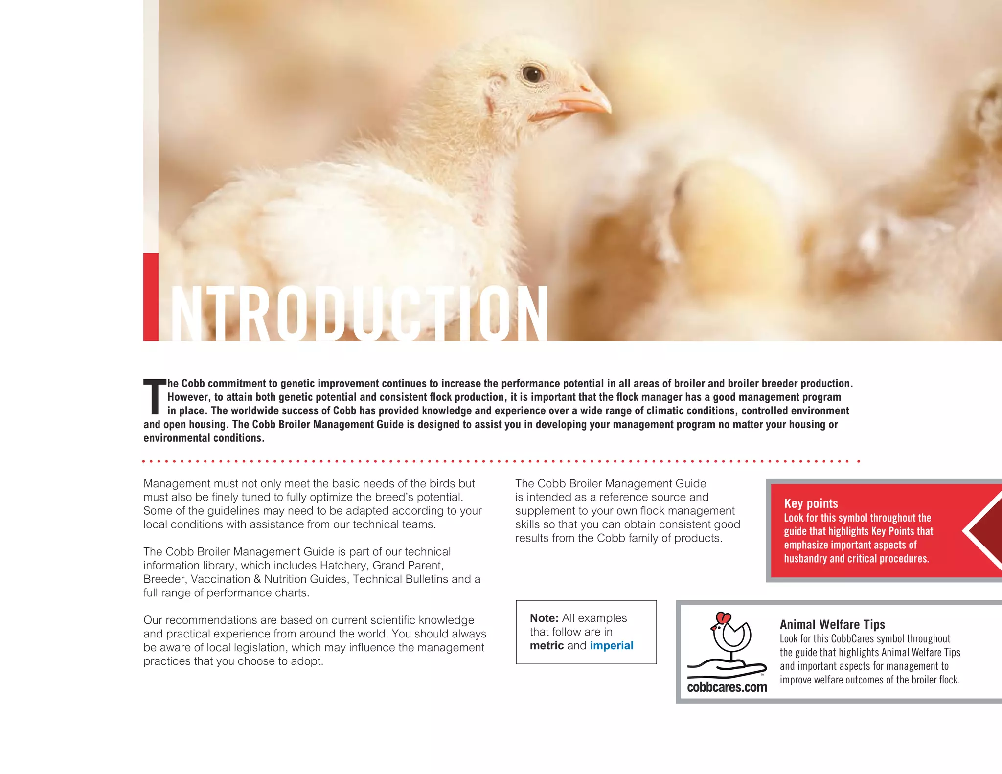 Broiler management guide.pdf