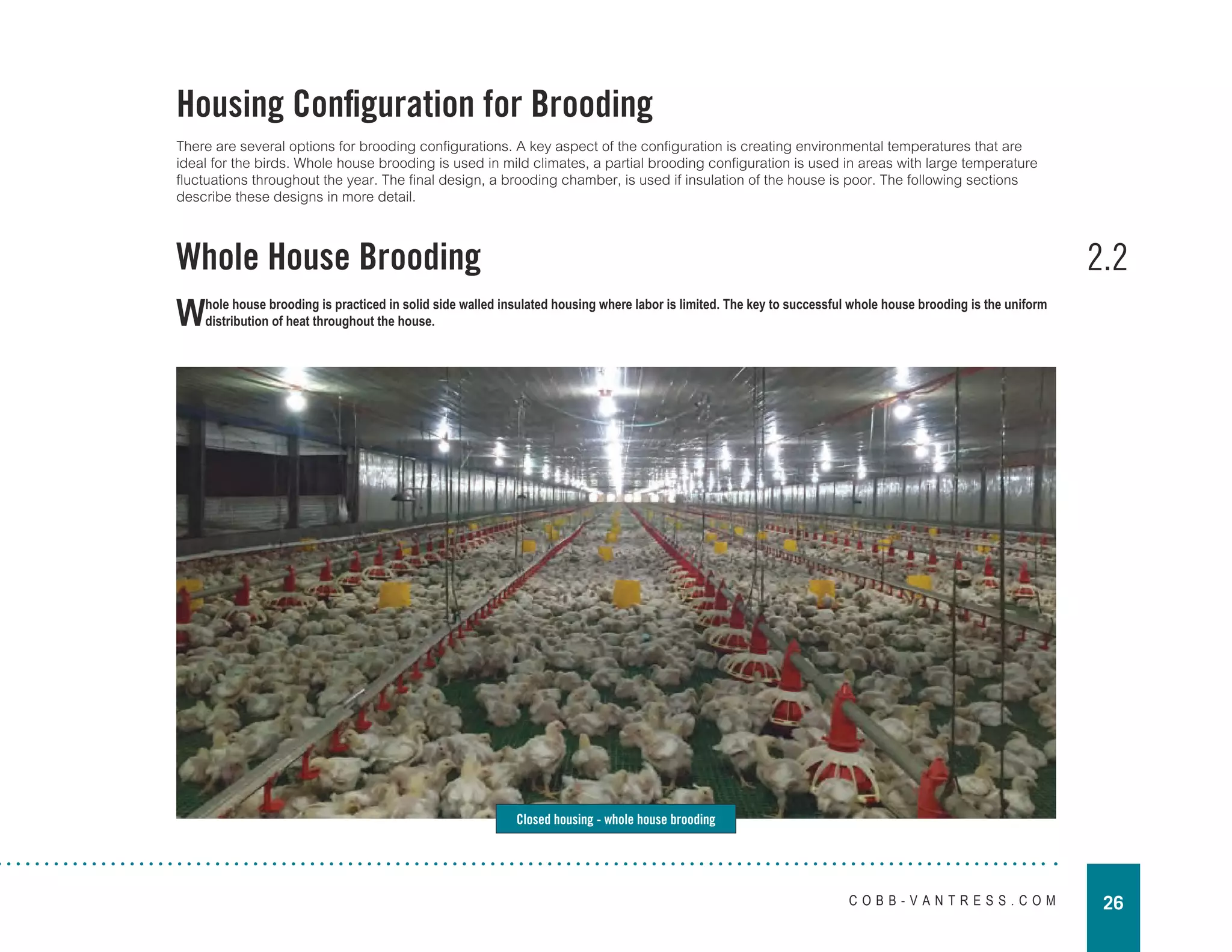 Broiler management guide.pdf