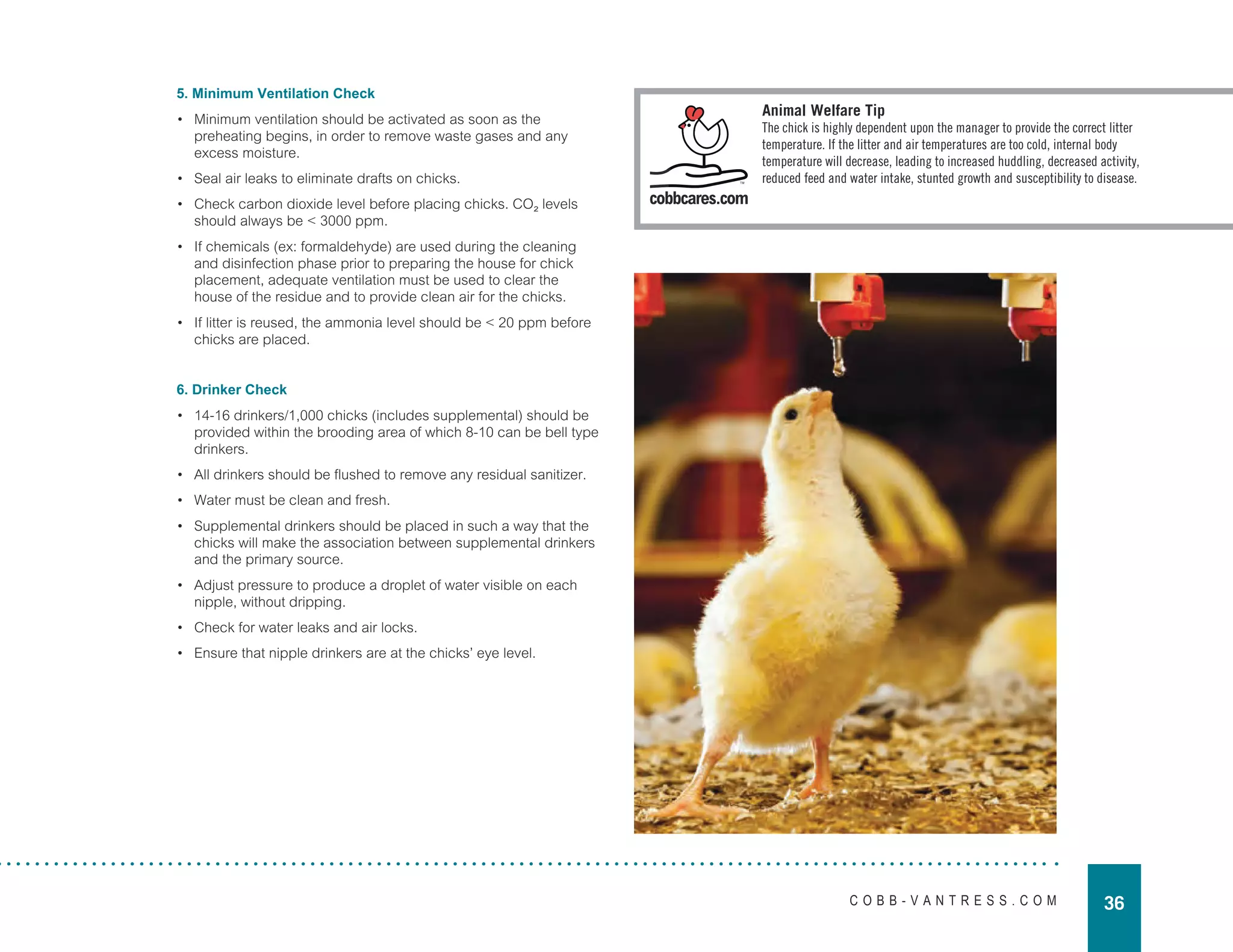 Broiler management guide.pdf