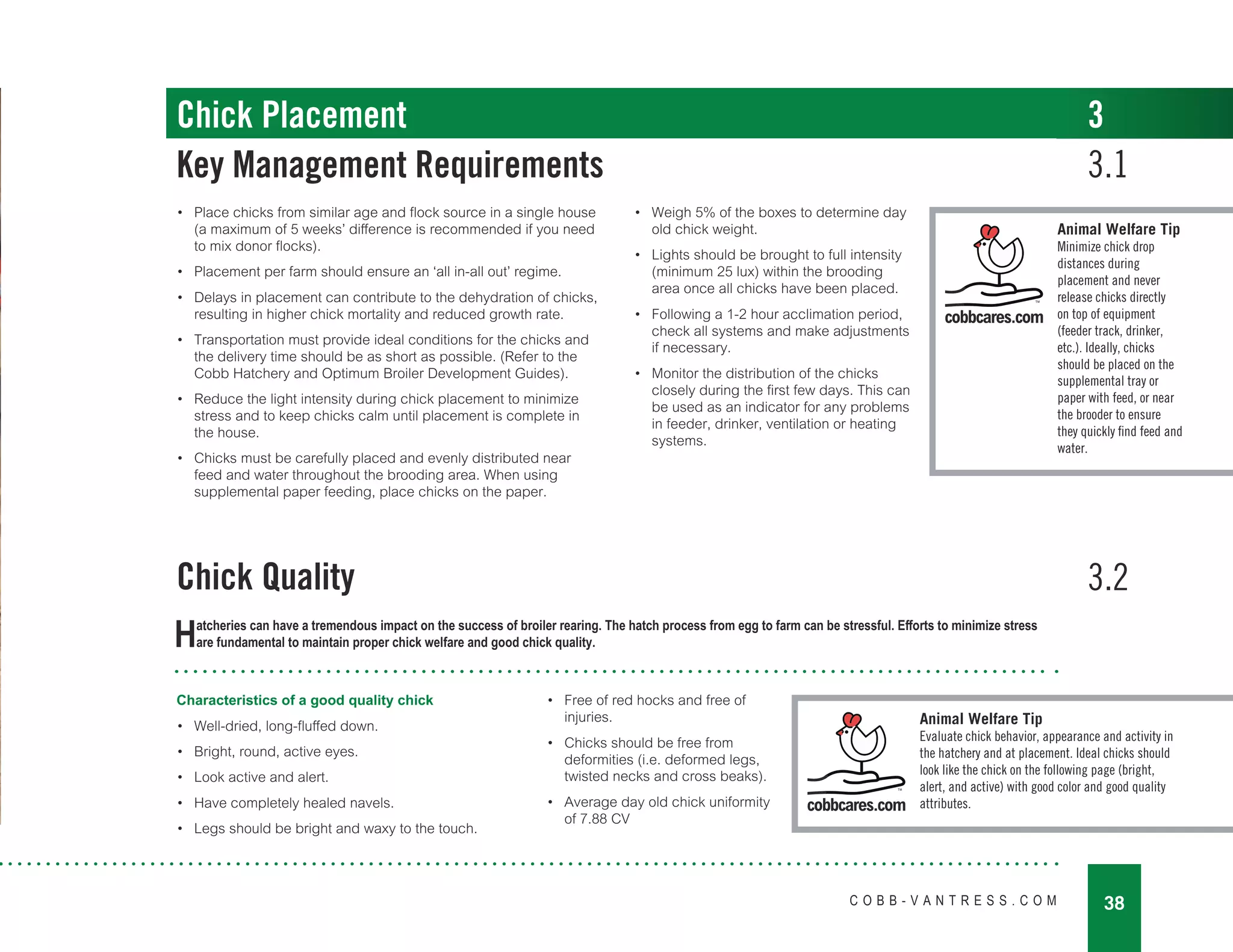 Broiler management guide.pdf