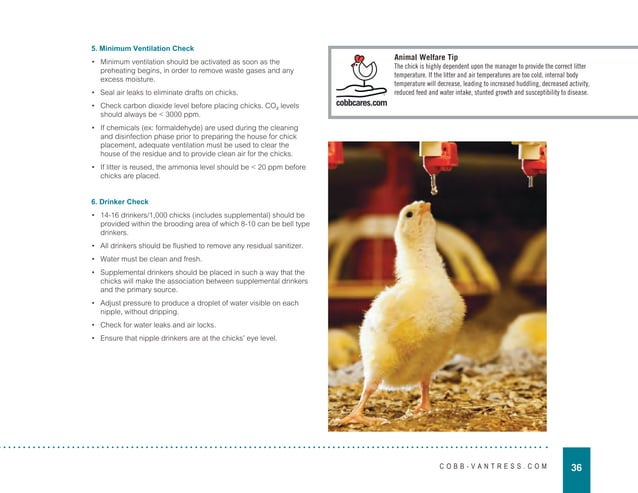 Broiler management guide.pdf | Agriculture | Industries