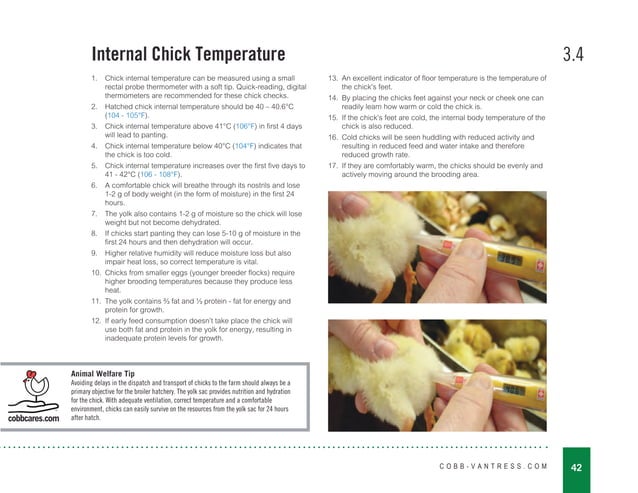 Broiler management guide.pdf | Agriculture | Industries