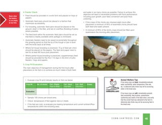 Broiler management guide.pdf