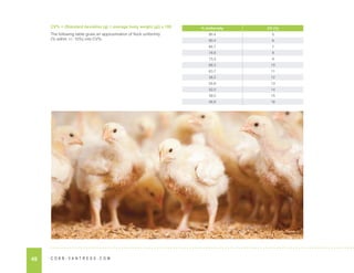 Broiler management guide.pdf