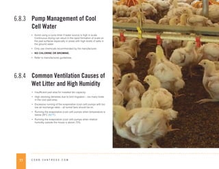 Broiler management guide.pdf