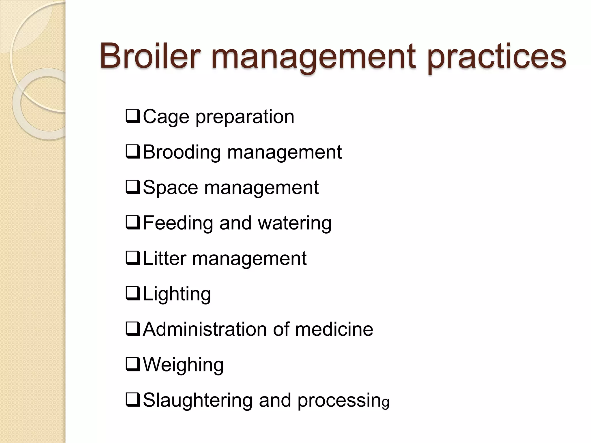 Broiler Management In Mapalana Agriculture Faculty Farm. | PPTX