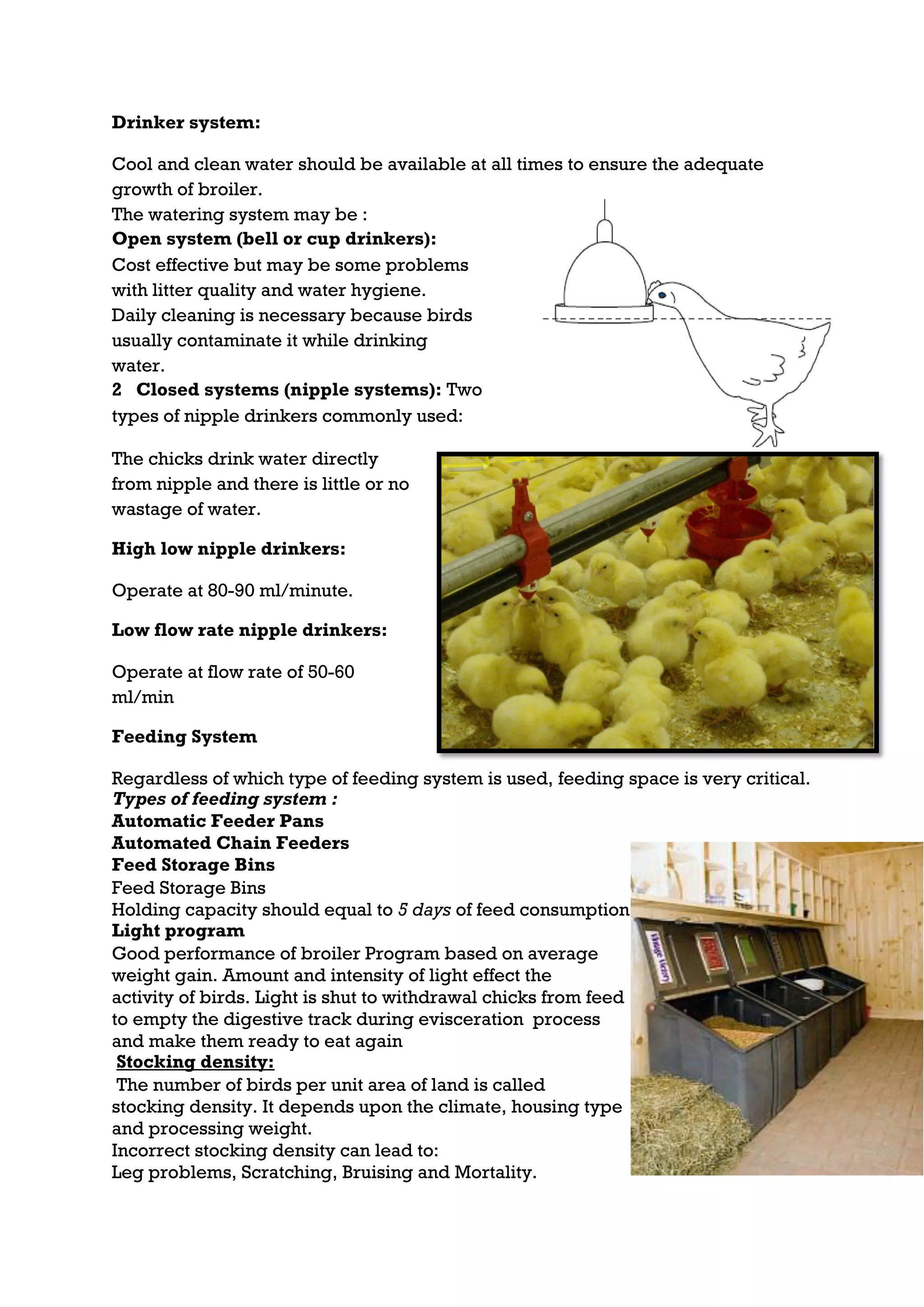 Broiler managemnet | PDF