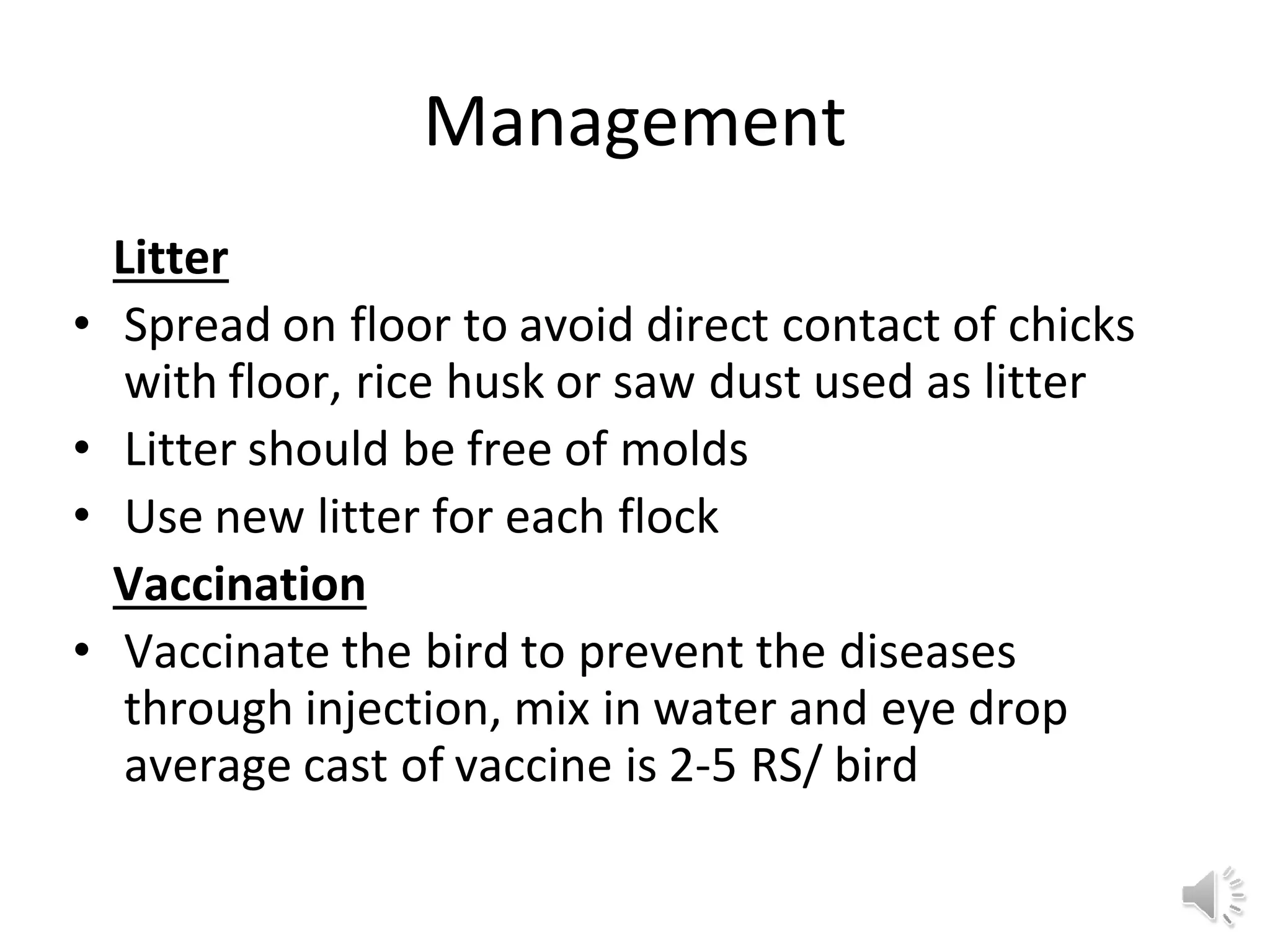 Broiler Management And Farming Pdf