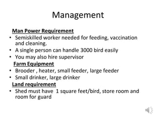 Broiler management and farming | PDF