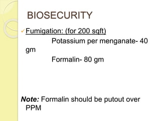 Broiler poultry farming and backyard poultry management | PPTX