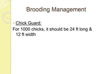 Broiler poultry farming and backyard poultry management | PPTX