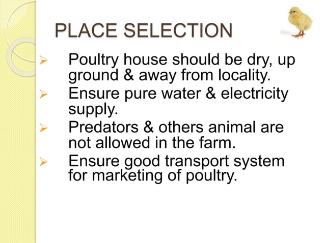 Broiler poultry farming and backyard poultry management | PPTX | Birds ...