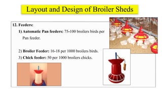 Broiler Poultry Farm Construction Guide | PDF