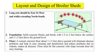 Broiler Poultry Farm Construction Guide | PDF