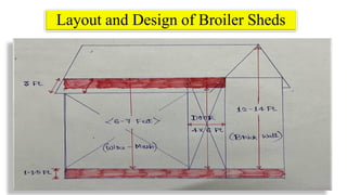 Broiler Poultry Farm Construction Guide | PDF
