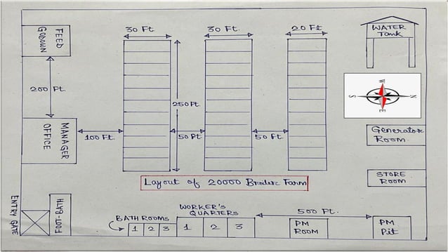 Broiler Poultry Farm Construction Guide | PDF