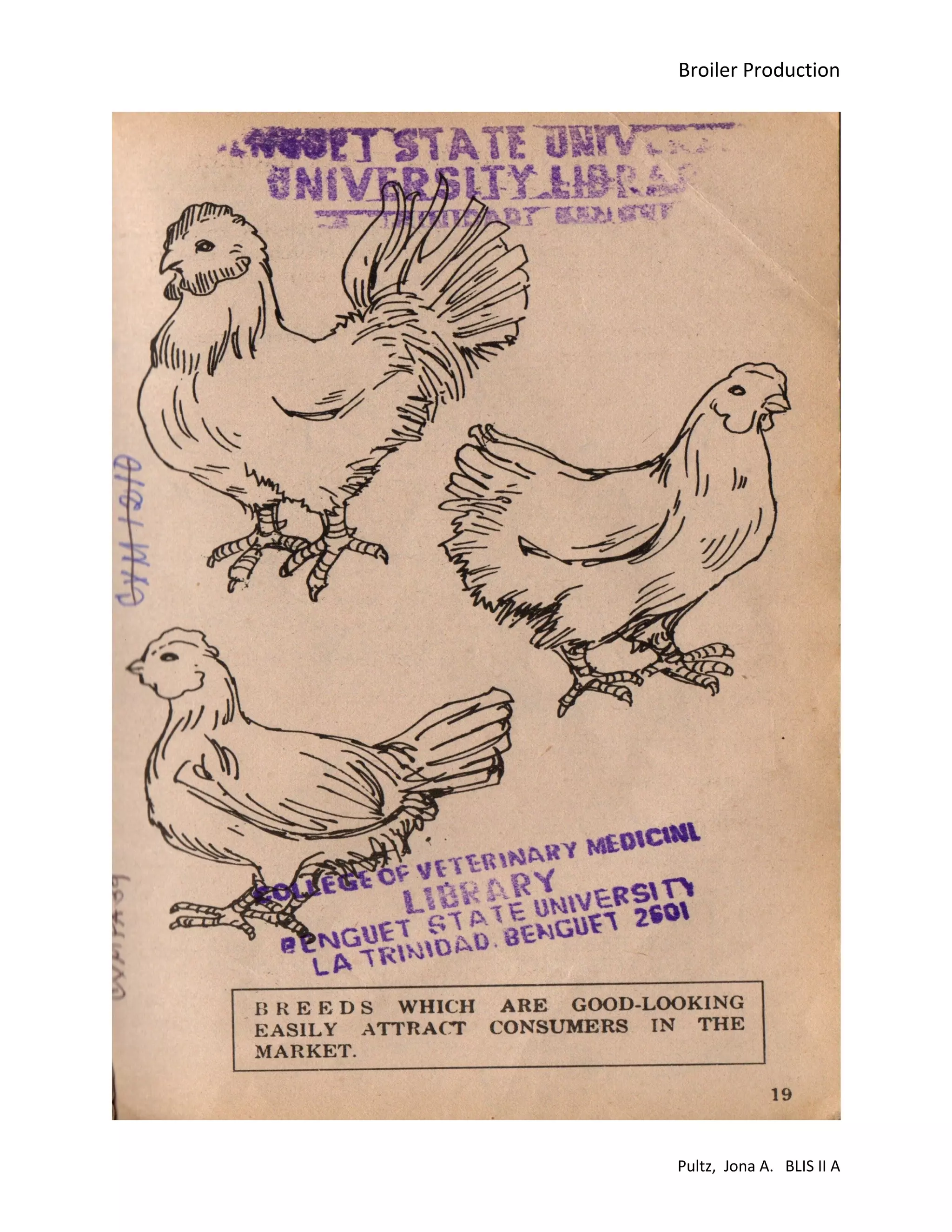 Broiler production | PDF