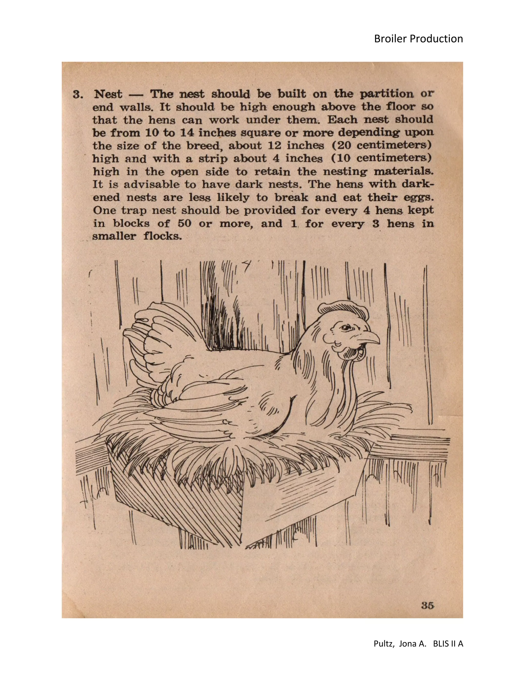 Broiler production | PDF