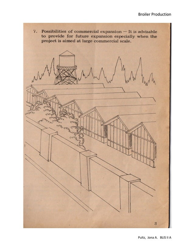 Broiler production | PDF