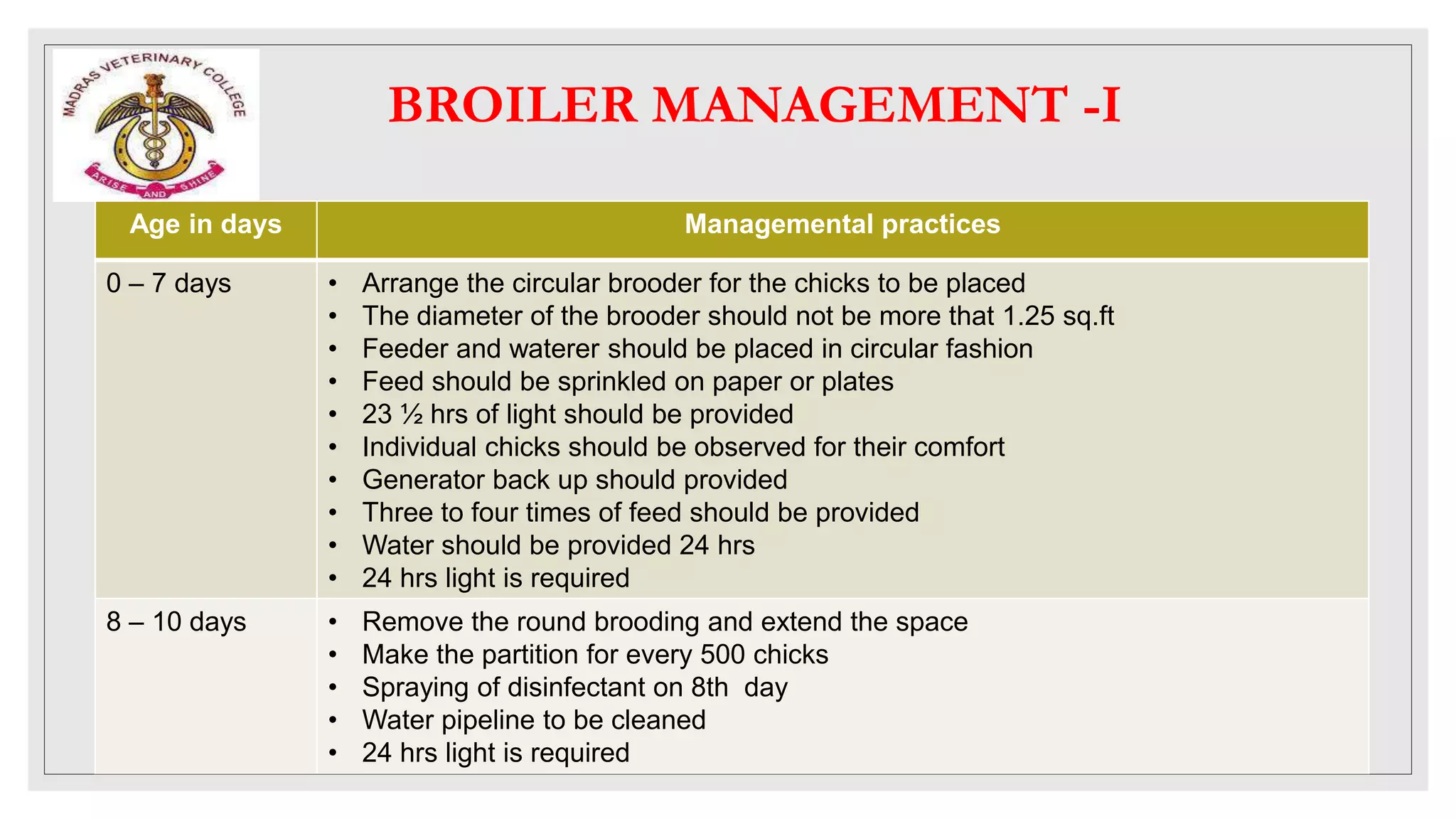 Broiler production | PPTX